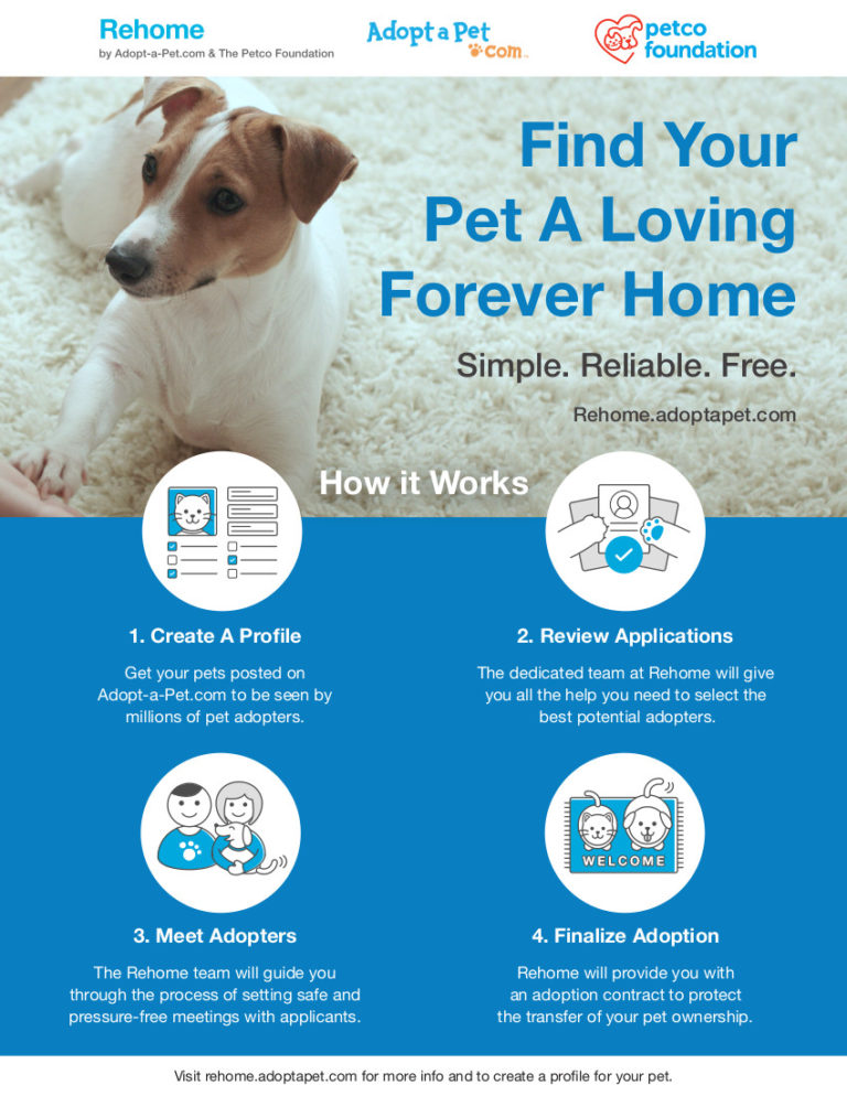 Find Home for a Pet | Humane Society of Louisiana